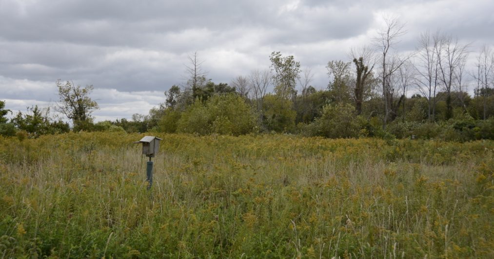 Put in Bay - Scheef East Point Preserve to Undergo Closure and Construction