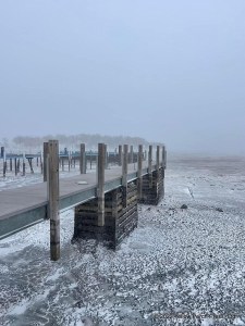 Winter Storm Elliot - Put in Bay